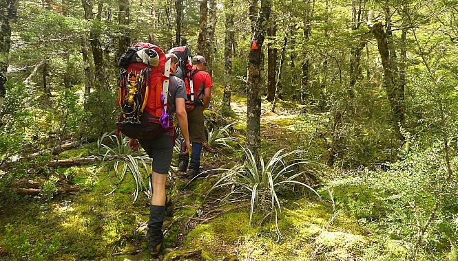 2014-10-25-Mt Hopeless | Te rōpū hikoi o te pae maunga o Tararua